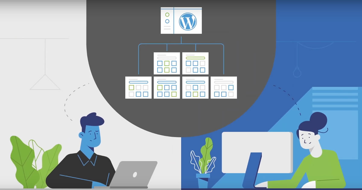 WaaS Solutions | Brands Load